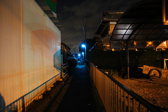 Why is Japan Turning Blue at Night? More and More Streets Being Draped ...