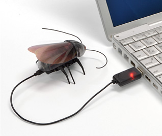 Smarter, Better, Faster, Stronger: Roachbot 2.0 | SoraNews24 —Japan News—