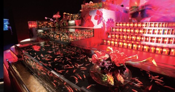 Thousands of Goldfish Exhibited Artfully in Nihonbashi | SoraNews24 ...