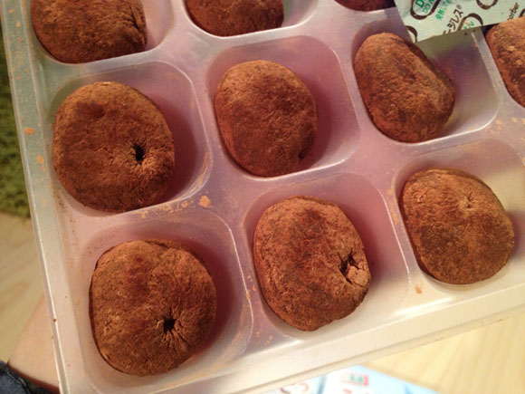 Here, Have Some Chocolate Cow Poop Mochi From Hokkaido | SoraNews24 ...