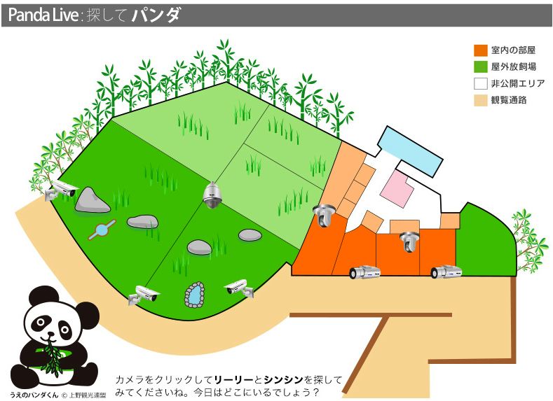 Ueno Zoo’s Panda Enclosure Goes Big Brother, Installs Real-Time Cameras ...