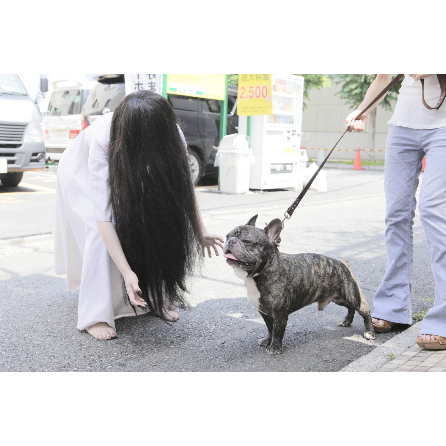 Sadako 3D Box Set Offers a Glimpse at the Daily Life of a Japanese ...