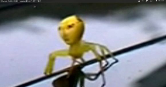 Real Life Gold Skulltula? Yellow Spider with Human Face Spotted in Hong ...