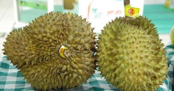 Woman Barred From Boarding Flight with Foul-Smelling Durian Flies into ...
