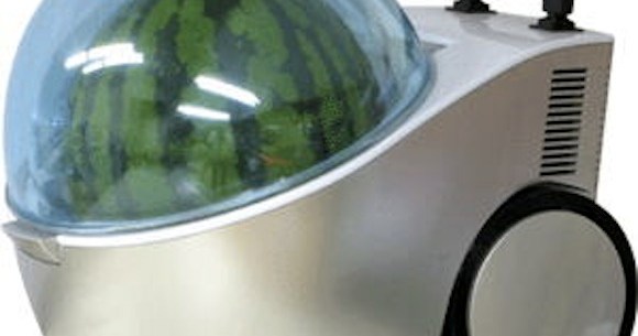 The Portable Watermelon Fridge — Could It Be The Perfect Gift For The ...