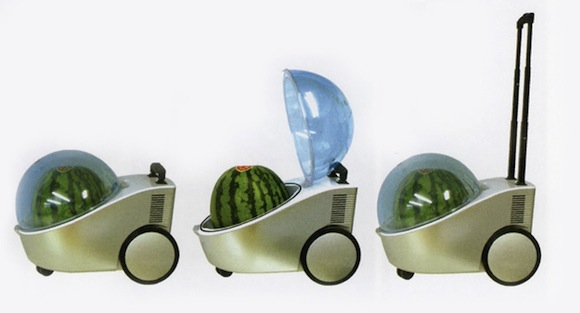 The Portable Watermelon Fridge — Could It Be The Perfect Gift For The ...