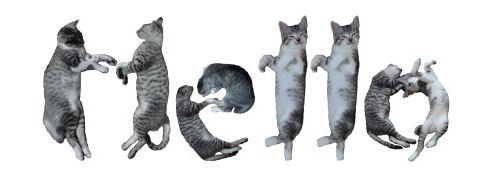Neko Font: Let Cats Do the Talking for You! | SoraNews24 -Japan News-