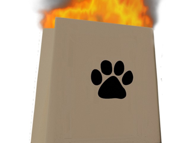 Tag: youths | SoraNews24 -Japan News-