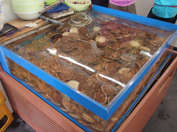 We go fishing for scallops 30 seconds after stepping out of Aomori ...