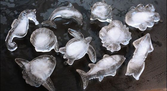 From polar bears and penguins to coelacanths, Japan’s magical ice trays ...