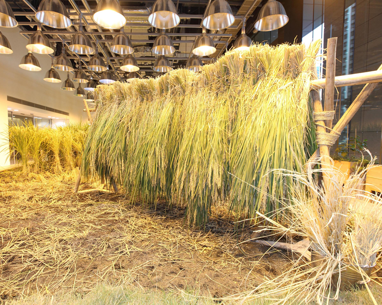 Green Tokyo: 5 cool examples of urban agriculture | SoraNews24 —Japan News—