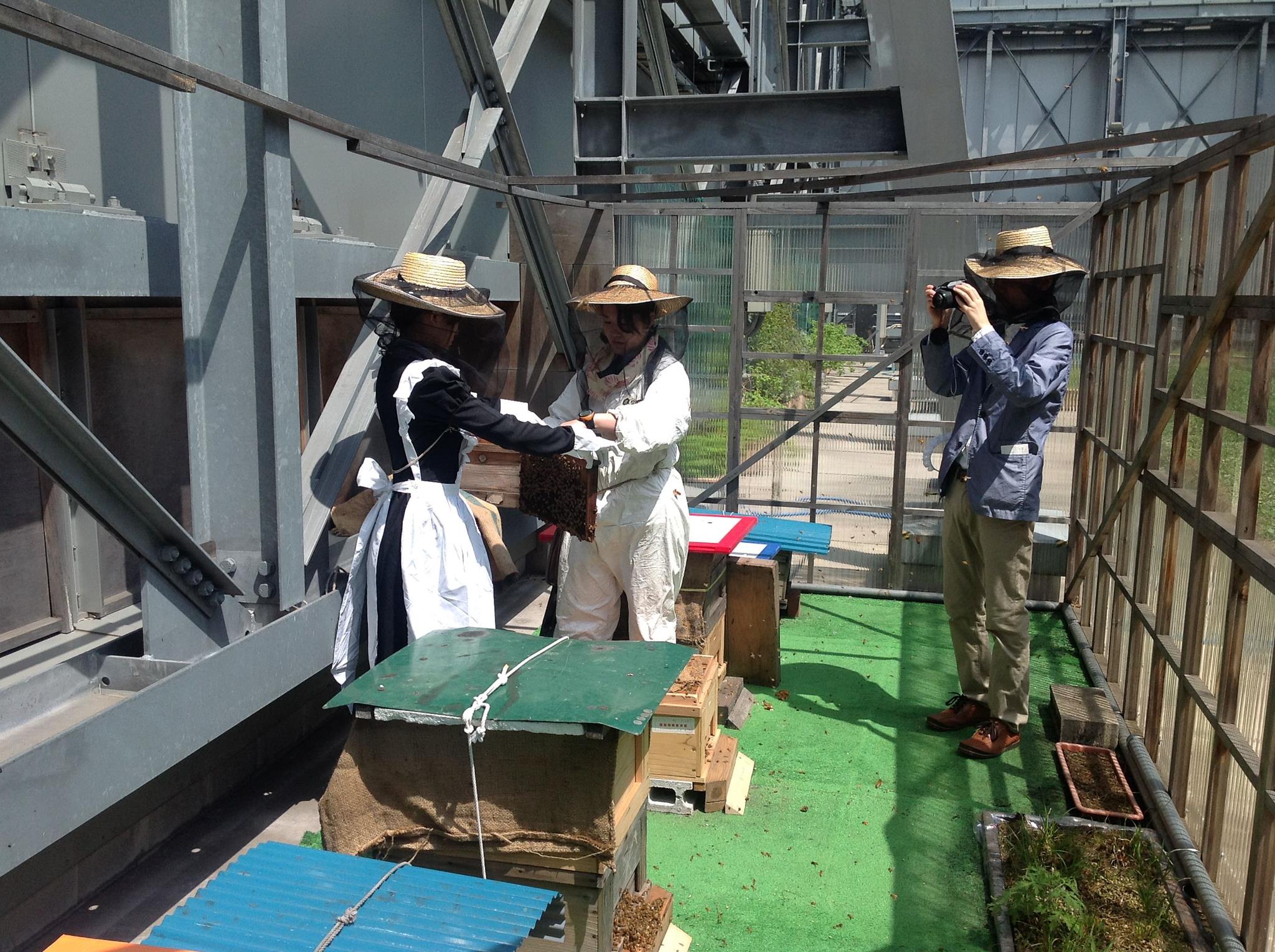 Green Tokyo: 5 cool examples of urban agriculture | SoraNews24 -Japan News-
