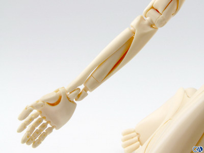 Meet the new model set to make manga artists’ lives a whole lot easier ...