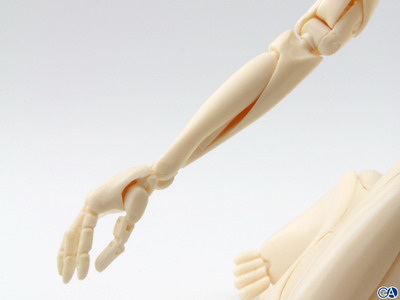 Meet the new model set to make manga artists’ lives a whole lot easier ...