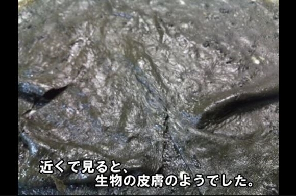 Tribute to Nausicaä: Ohm-rice of the Valley of the Wind | SoraNews24 ...