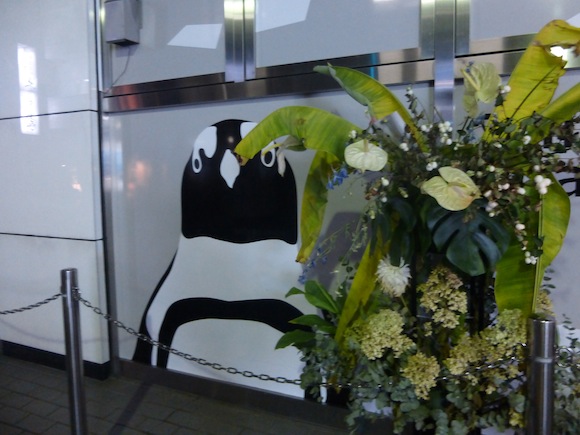 Meet some unexpected web-footed friends – at the penguin bar in central ...