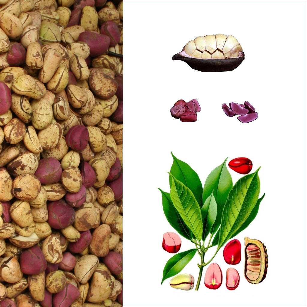 Japanese netizens explore the root of cola’s enticing taste ...