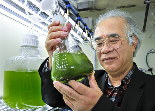 Scientist says he can end Japan’s energy woes by turning algae into ...