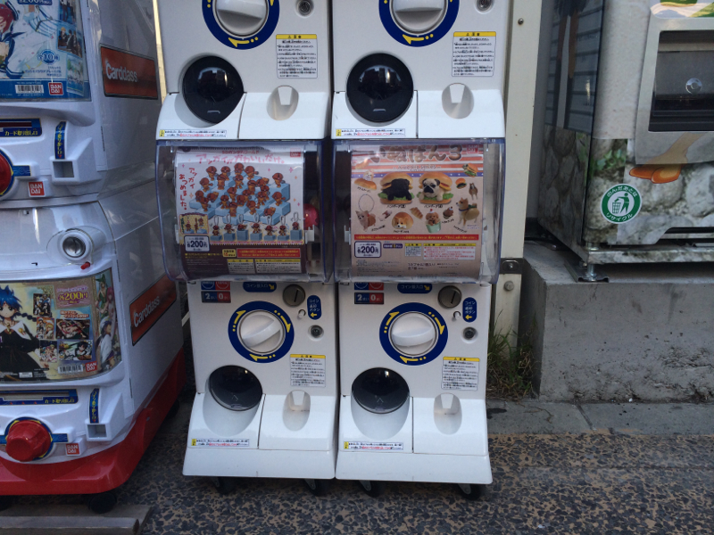 Doggy bread, the newest, cutest gachapon to win our hearts ...
