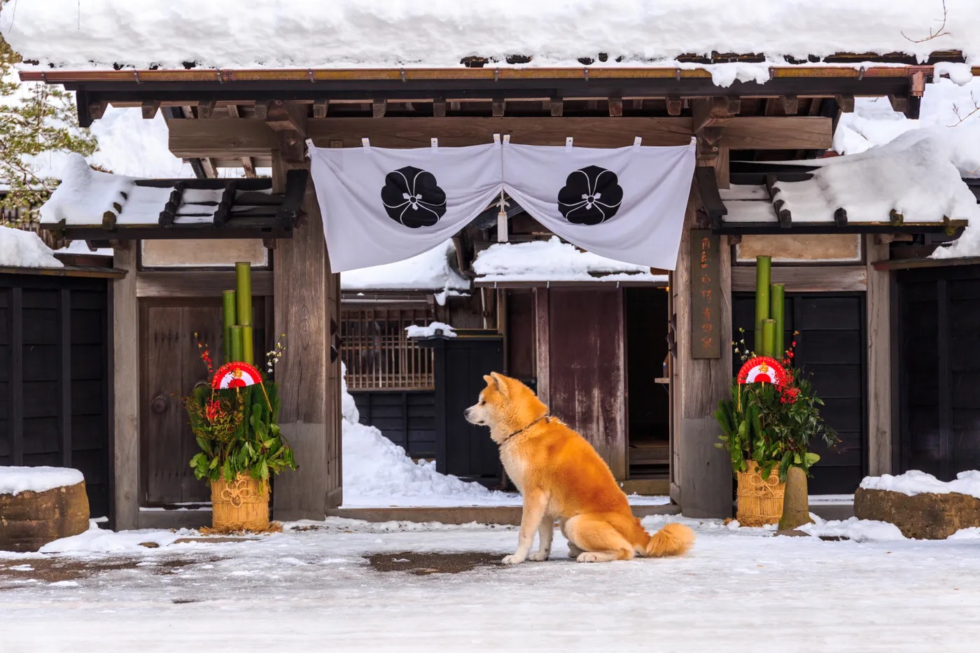 Tag: kagami mochi | SoraNews24 —Japan News—
