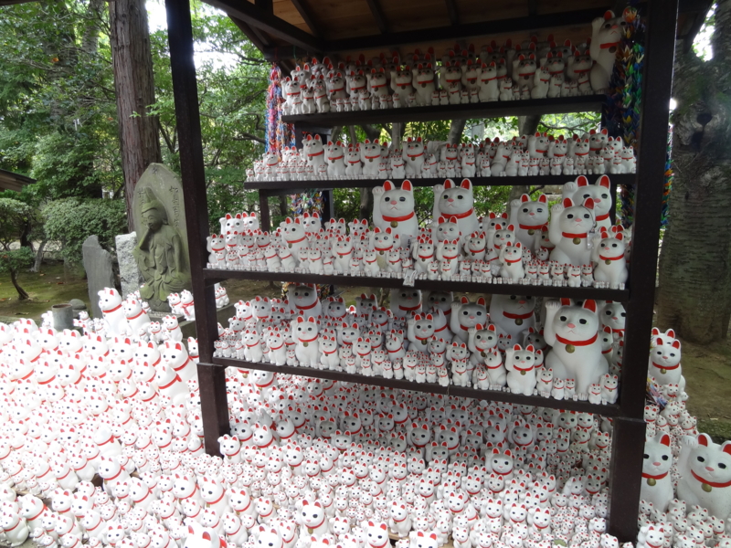 Nine places where cat lovers in Japan can step up their devotion to ...