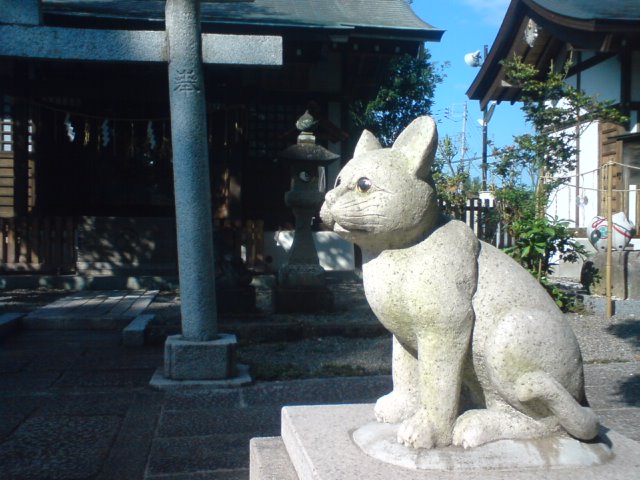 Nine places where cat lovers in Japan can step up their devotion to ...