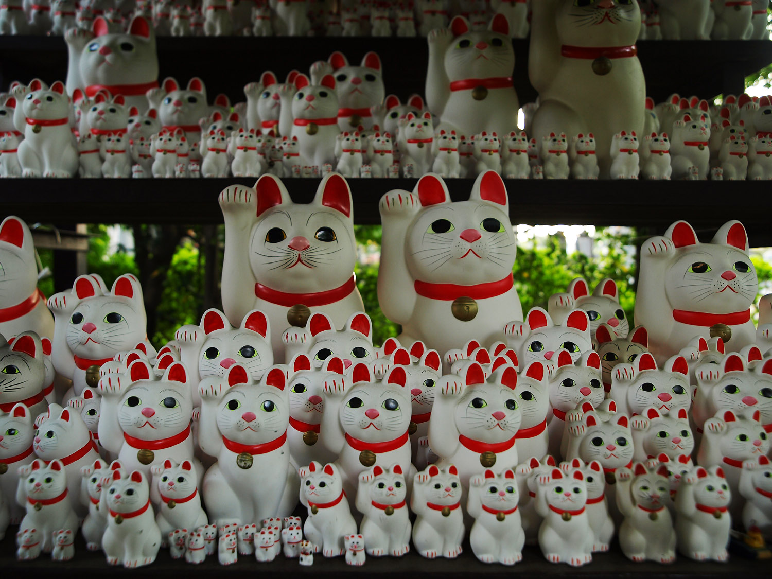 Nine places where cat lovers in Japan can step up their devotion to ...