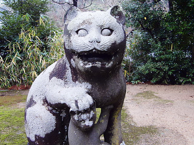 Nine places where cat lovers in Japan can step up their devotion to ...