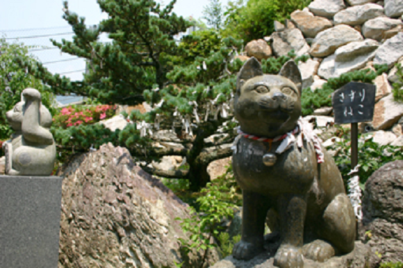 Nine places where cat lovers in Japan can step up their devotion to ...