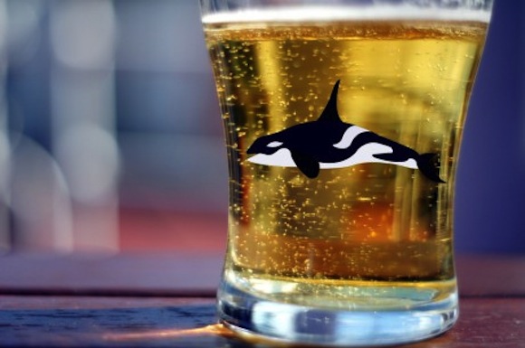 Moby Drink: Iceland creates a beer made with endangered whale bones ...