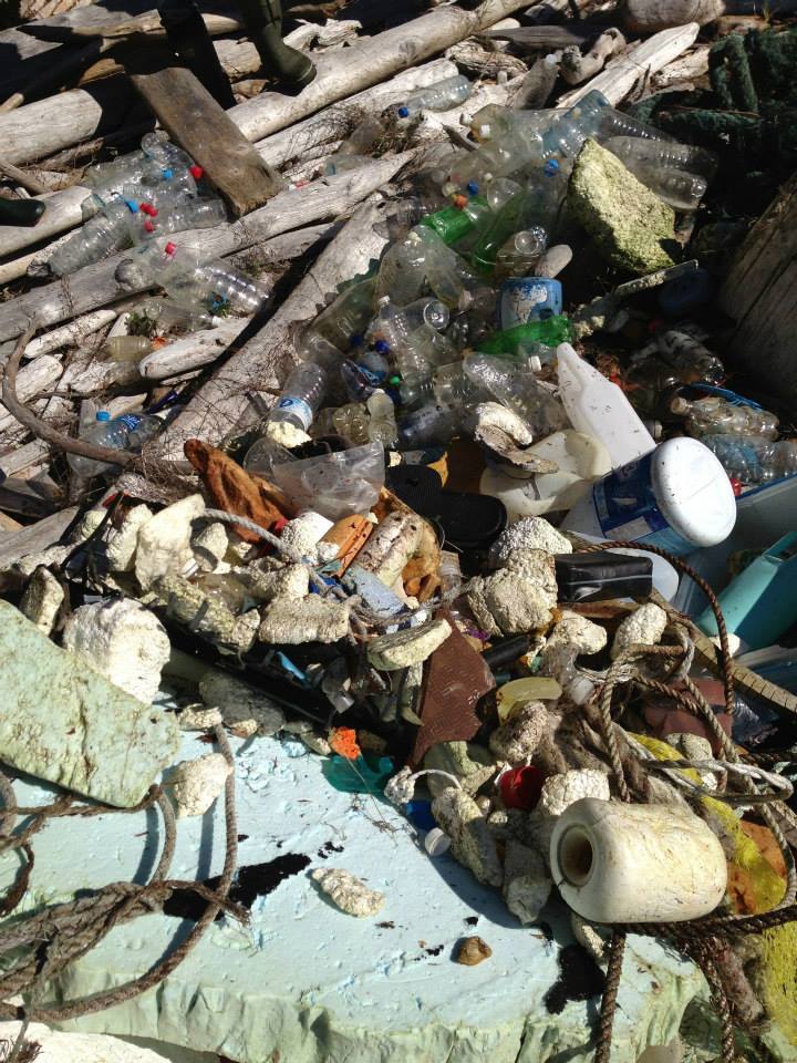 70 Japanese students volunteer to help clean Canada’s shores of Tohoku ...