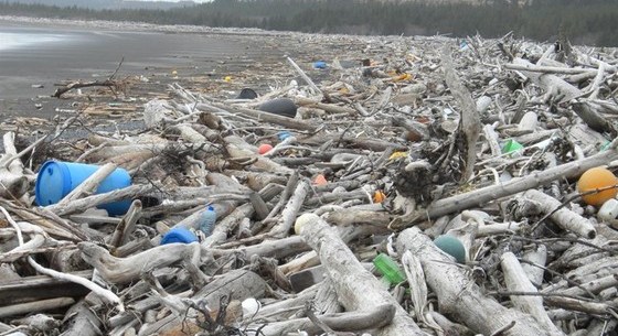 70 Japanese students volunteer to help clean Canada’s shores of Tohoku ...