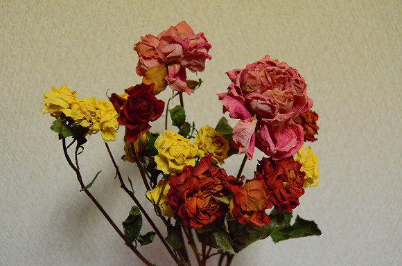 We try making dried flowers using a special, fast technique and get ...