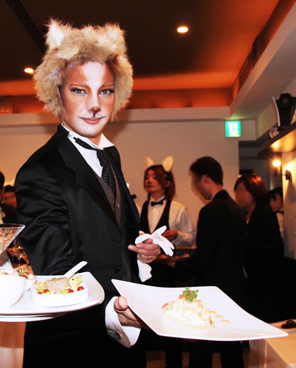 Japan’s cat food restaurant is back! | SoraNews24 -Japan News-