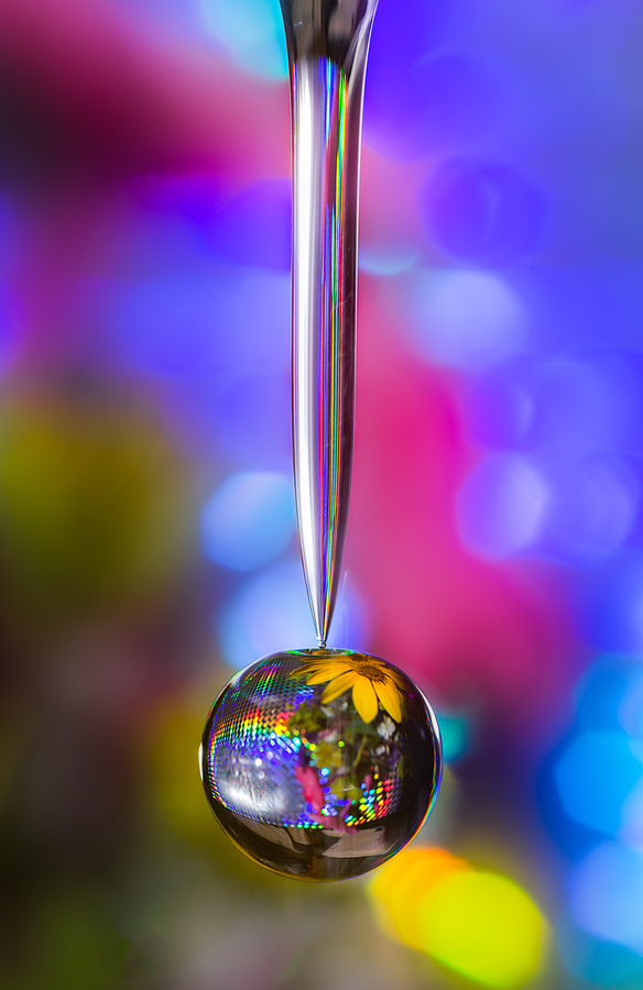 Japanese photographer captures tiny whimsical water worlds in macro ...