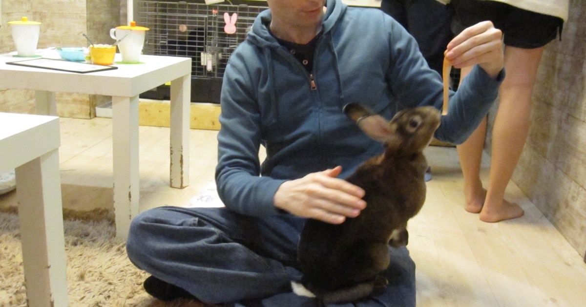 We visit Tokyo’s rabbit café to celebrate Easter in the cutest way ...