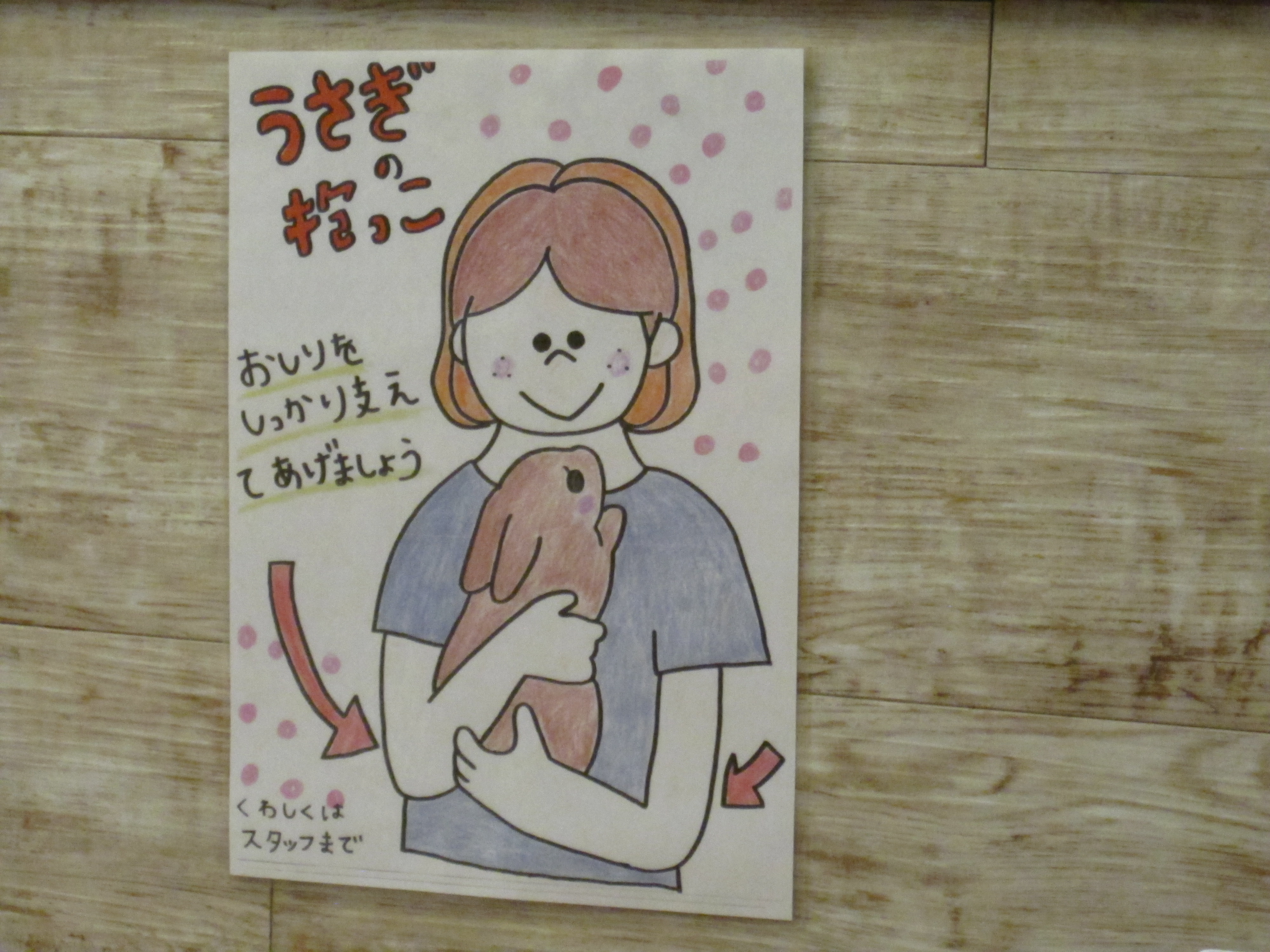 We visit Tokyo’s rabbit café to celebrate Easter in the cutest way ...