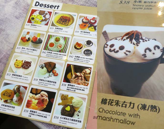 Take a peek inside a Hong Kong cat cafe | SoraNews24 -Japan News-