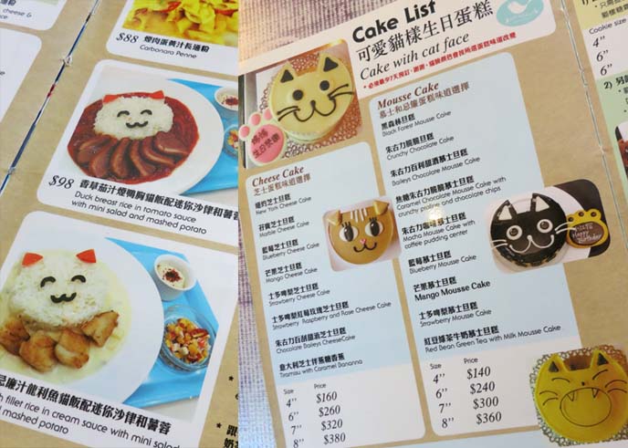 Take a peek inside a Hong Kong cat cafe | SoraNews24 -Japan News-