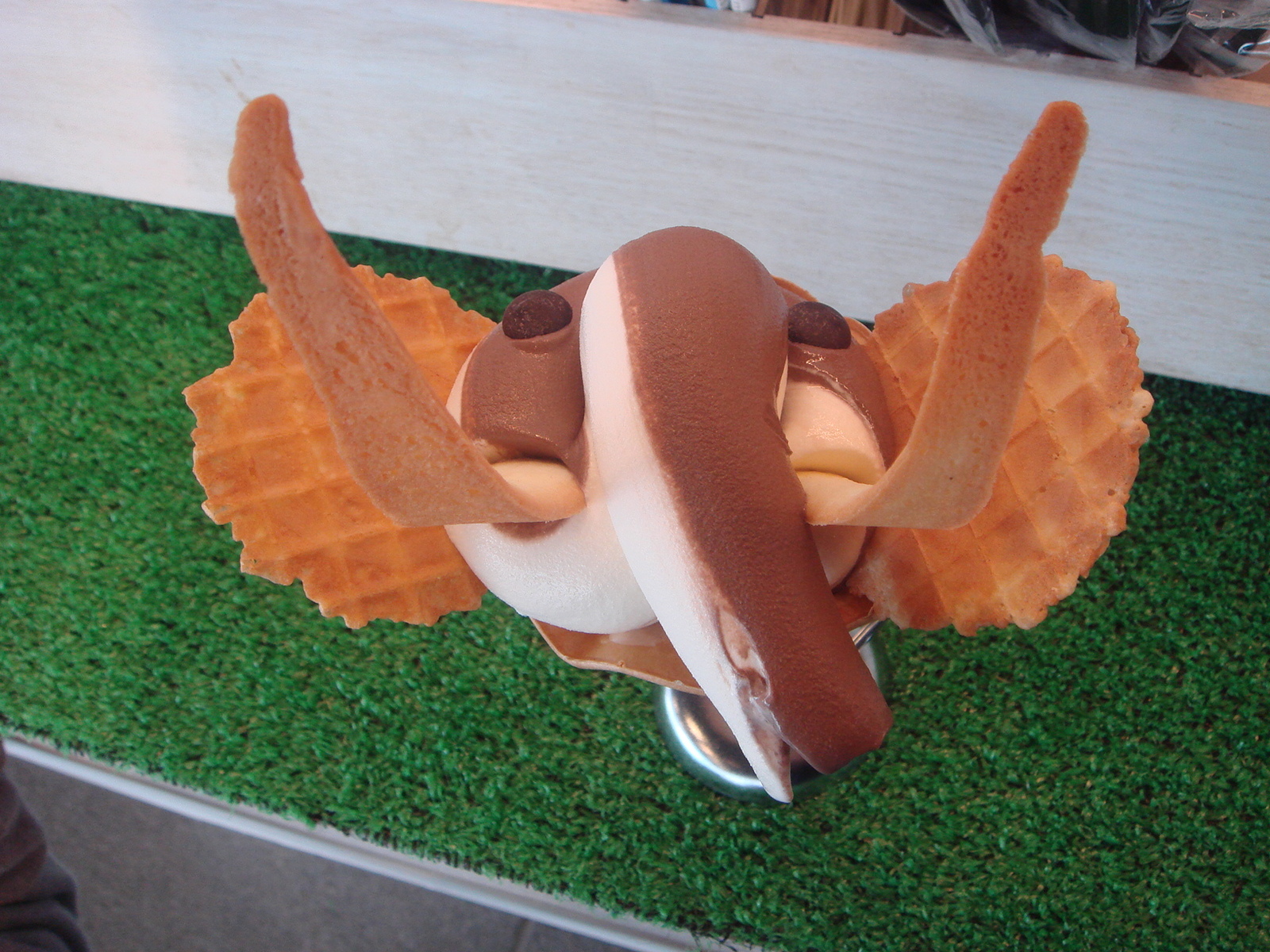 Elephant nose ice cream: The treat with a trunk | SoraNews24 -Japan News-