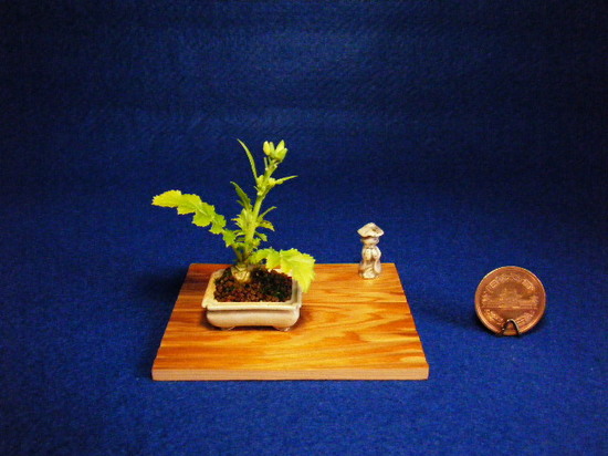 Check out these super-ultra-teeny-tiny bonsai! 【Photos】 | SoraNews24 ...