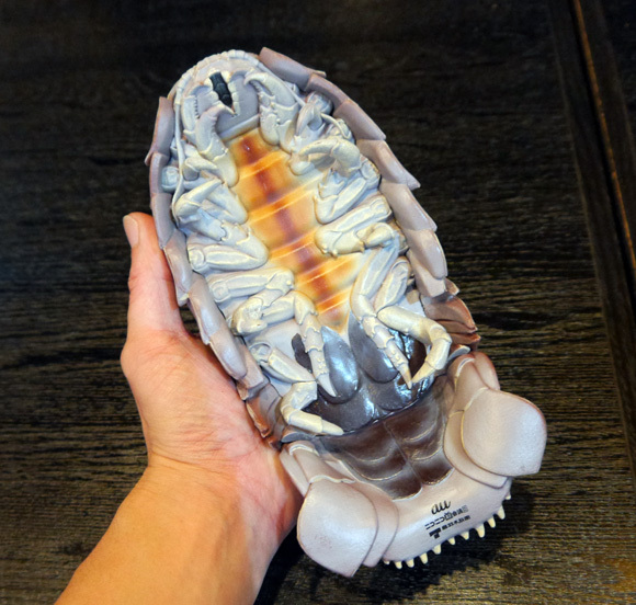 Guess what’s back, back again. Isopod case is back, tell your friends ...
