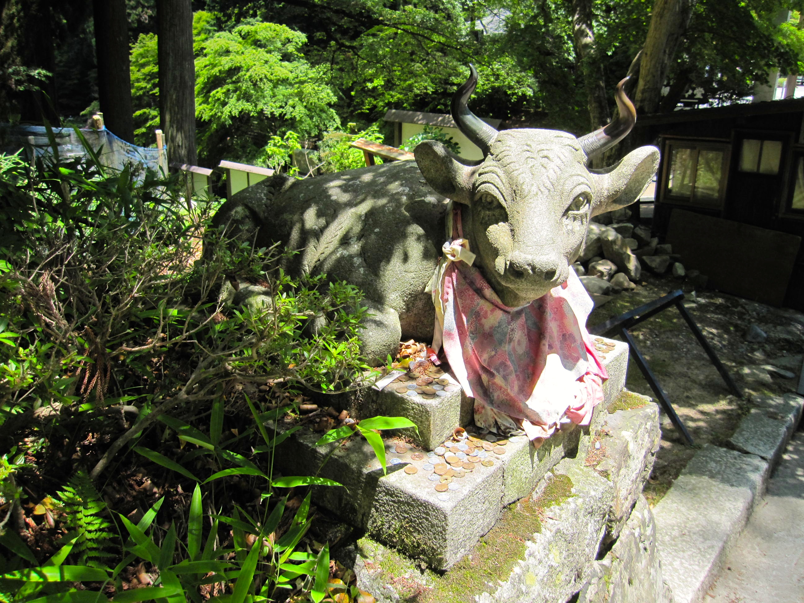 The Marathon Monks of Mt. Hiei: Better than Olympic athletes?【Part II ...