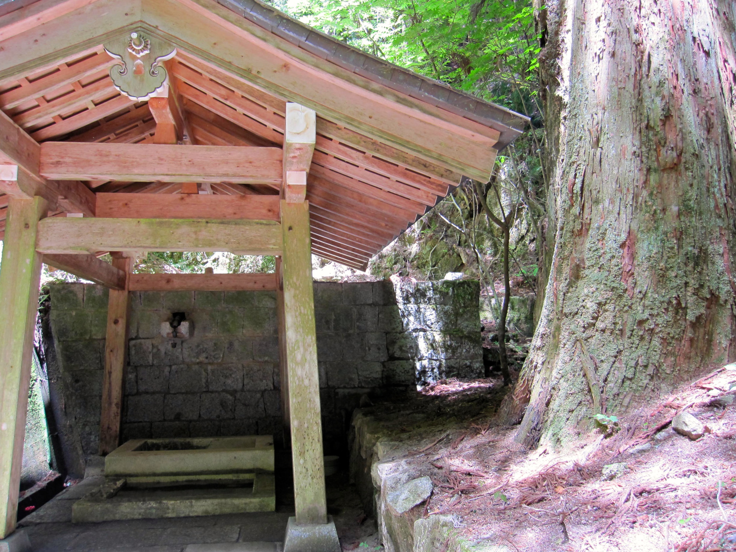 The Marathon Monks of Mt. Hiei: Better than Olympic Athletes? 【Part I ...