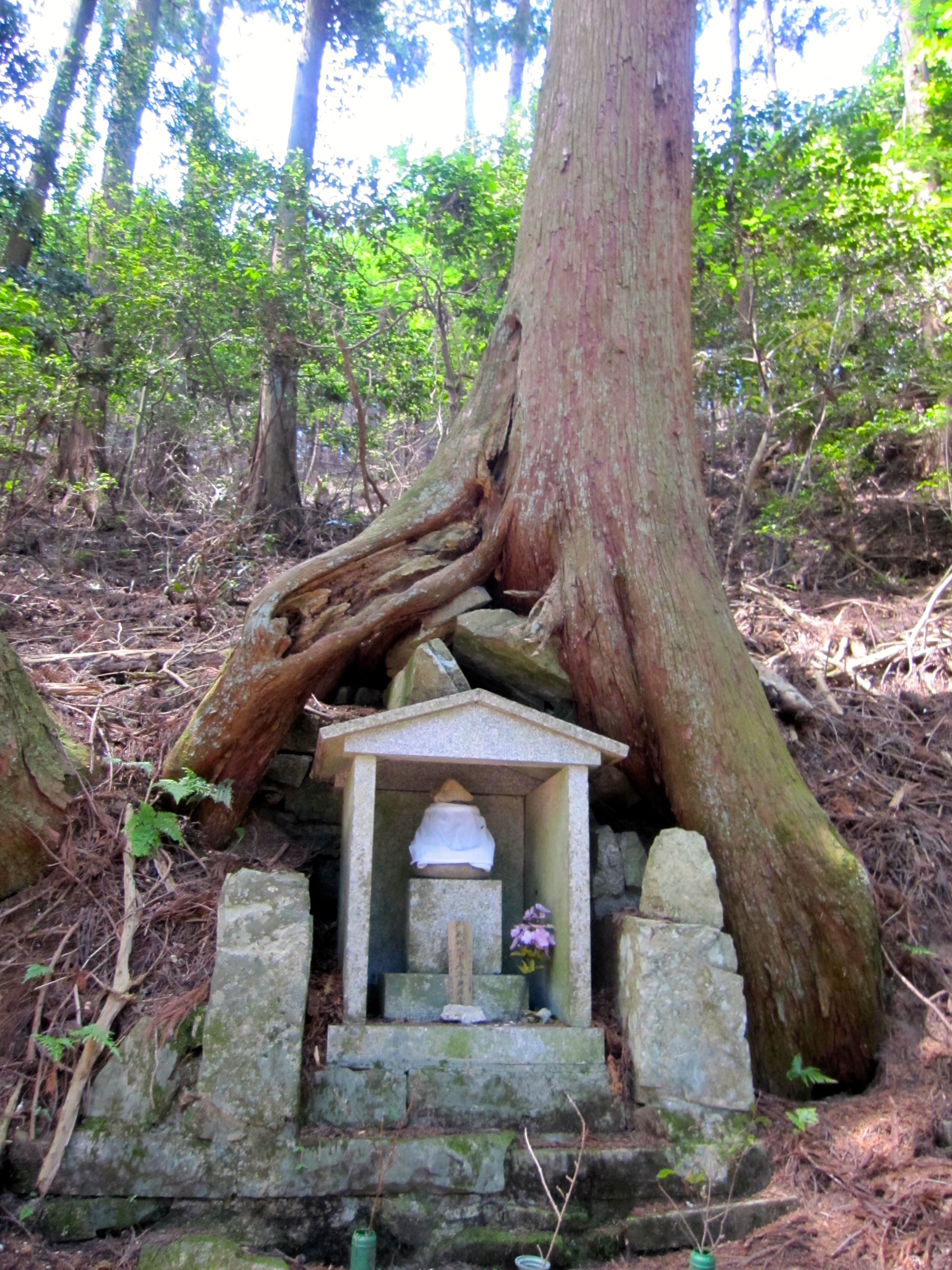 The Marathon Monks of Mt. Hiei: Better than Olympic Athletes? 【Part I ...