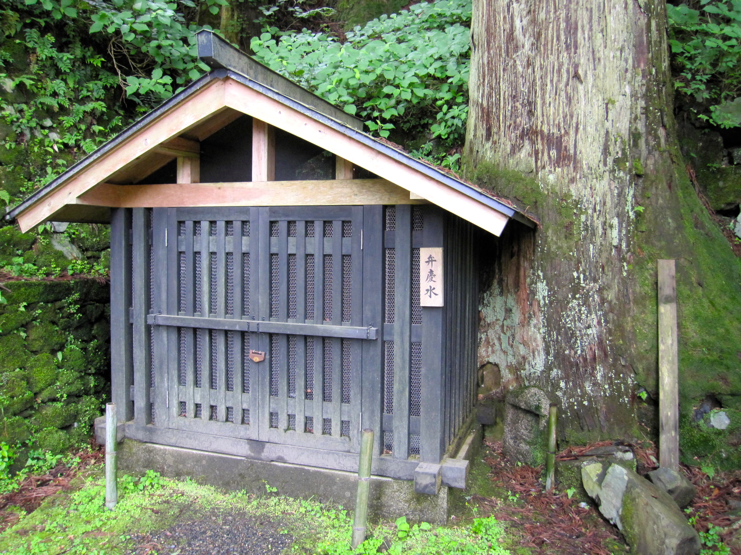 The Marathon Monks of Mt. Hiei: Better than Olympic Athletes? 【Part I ...