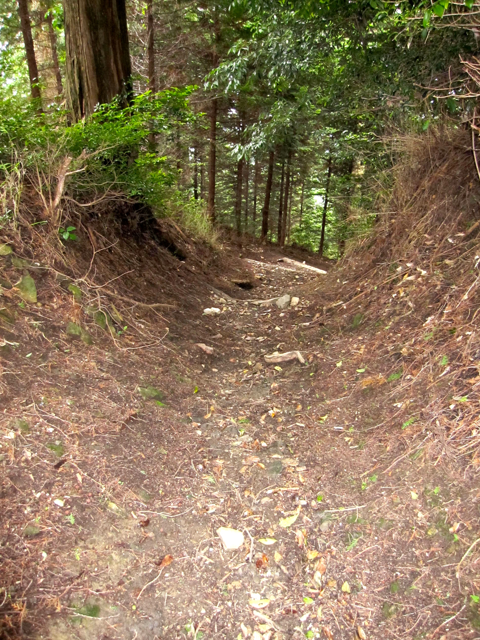 The Marathon Monks of Mt. Hiei: Better than Olympic athletes?【Part II ...