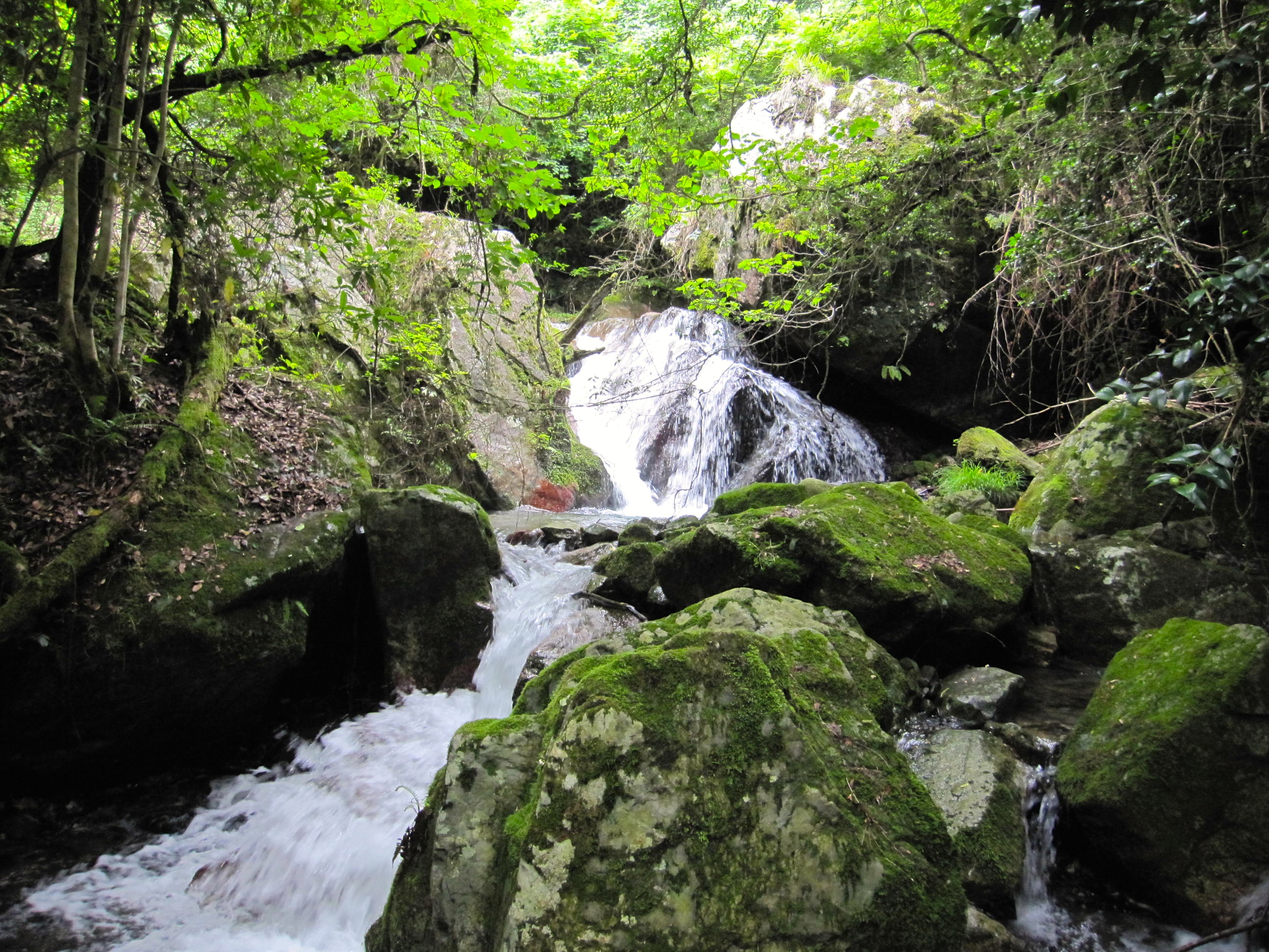 The Marathon Monks of Mt. Hiei: Better than Olympic Athletes? 【Part I ...
