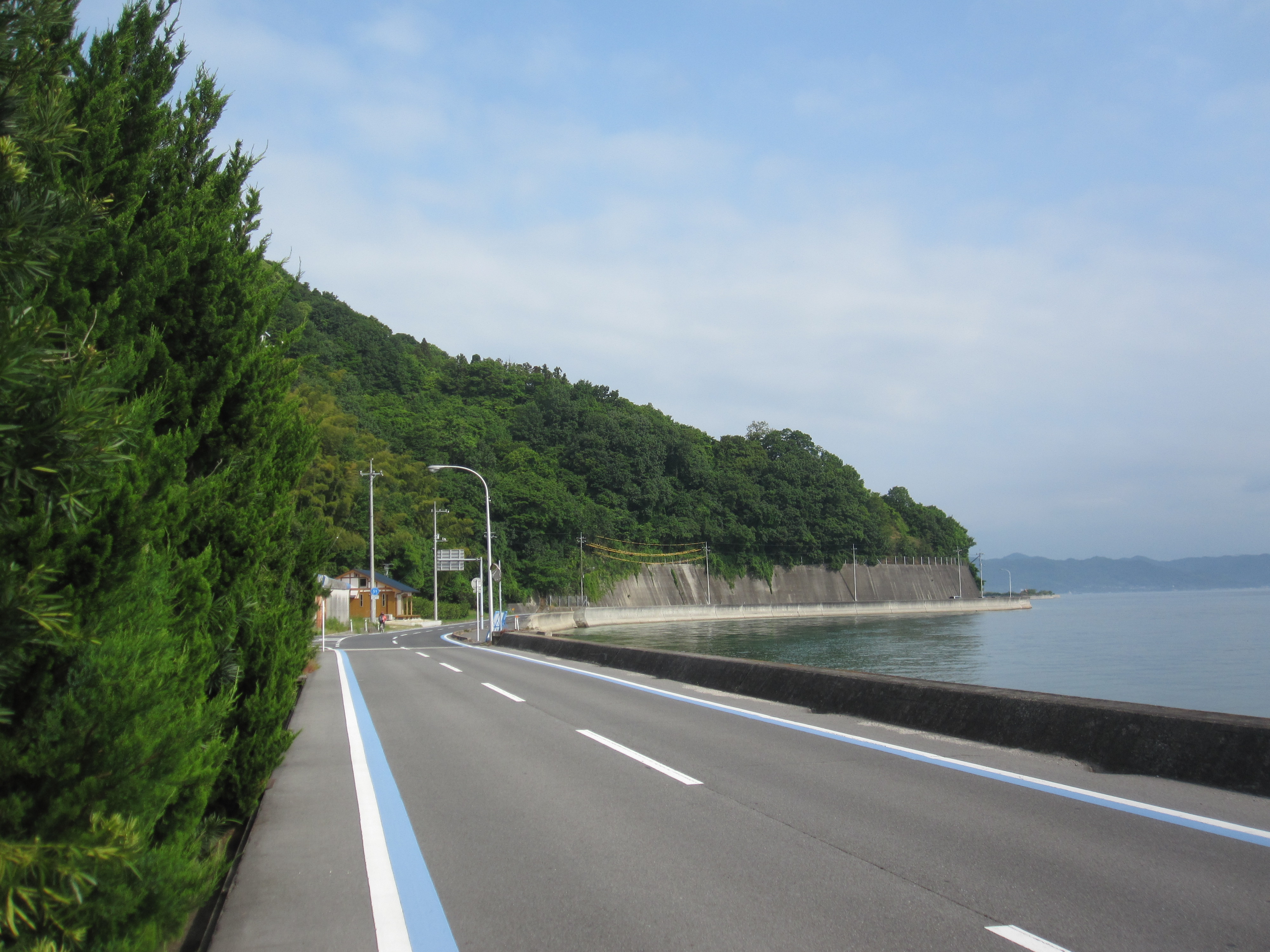 Japan’s Rabbit Island – Yes, it really does exist | SoraNews24 —Japan News—