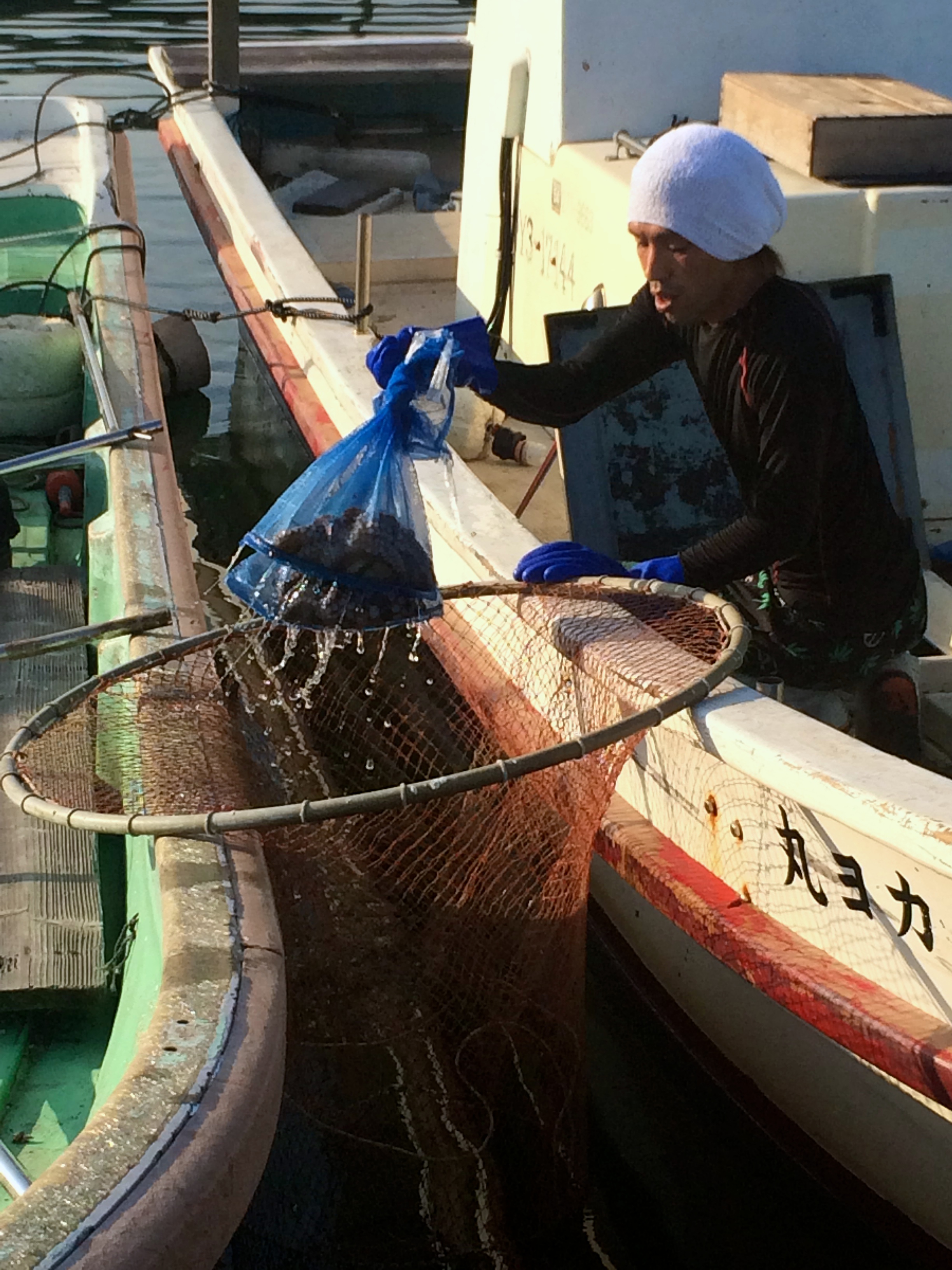 We go octopus hunting, learn how to turn octopus heads inside-out ...